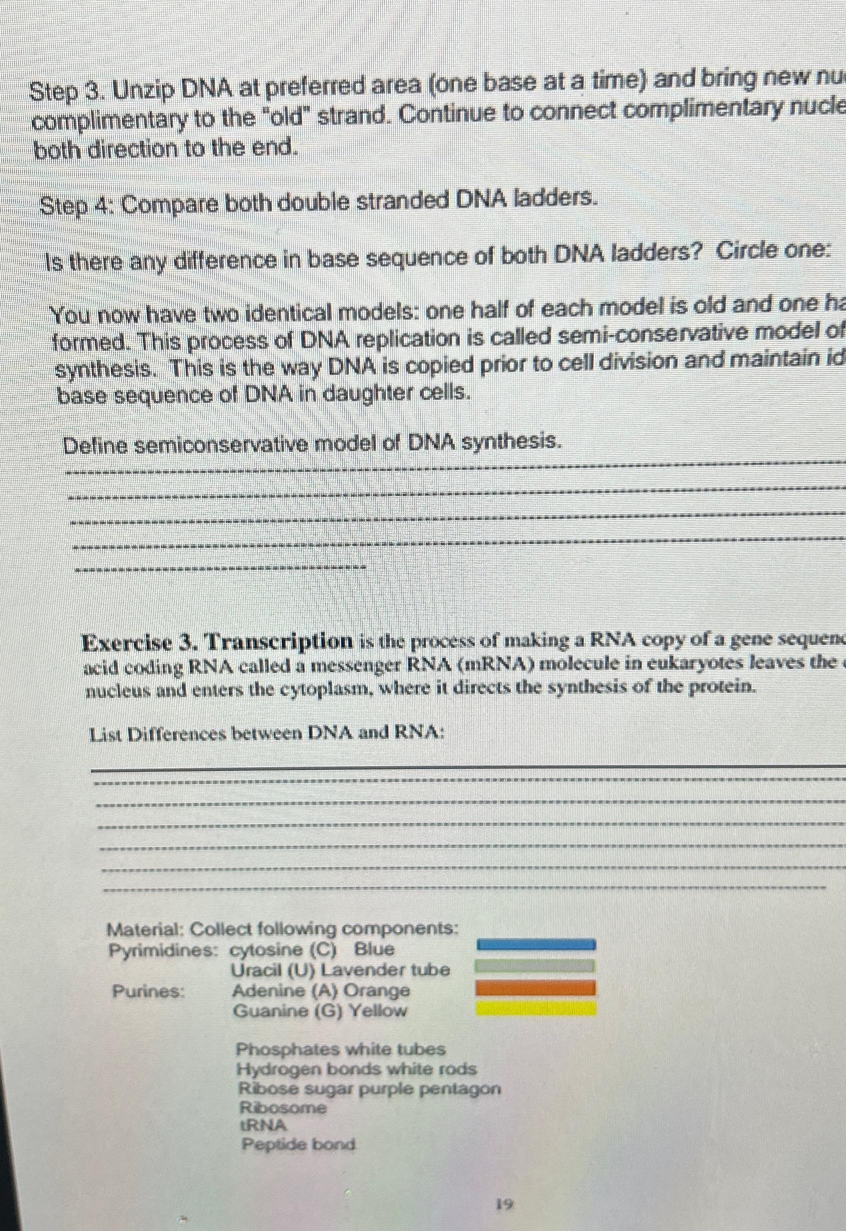 Solved Step 3. ﻿Unzip DNA at preferred area (one base at a | Chegg.com