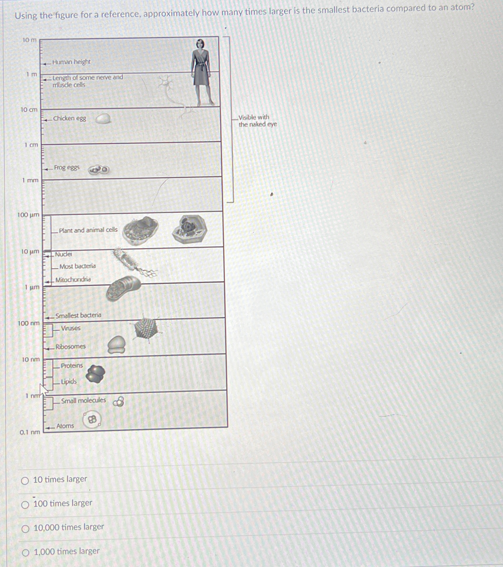 Solved Using the figure for a reference, approximately how | Chegg.com