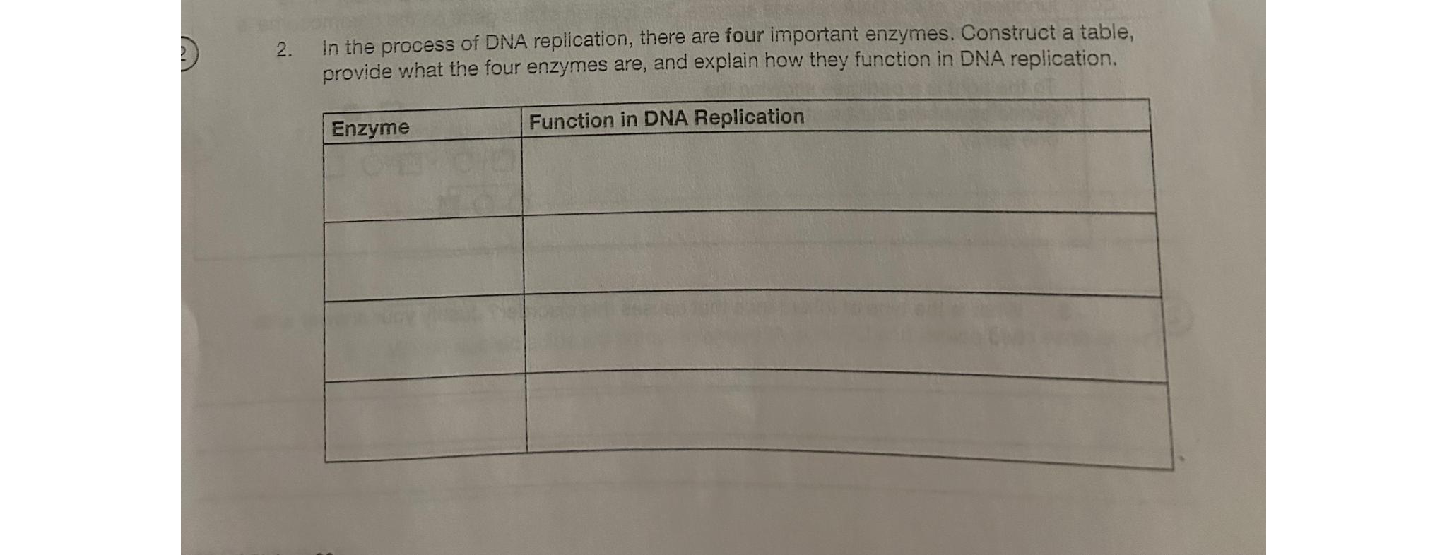 Solved In the process of DNA replication, there are four | Chegg.com