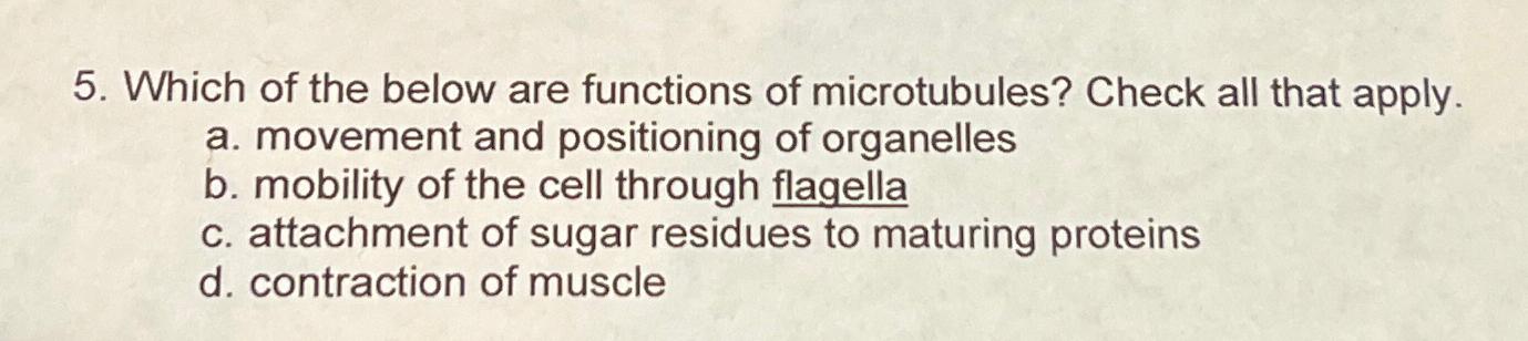 Solved Which of the below are functions of microtubules? | Chegg.com