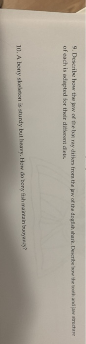 Solved 9. Describe how the jaw of the bat ray differs from | Chegg.com