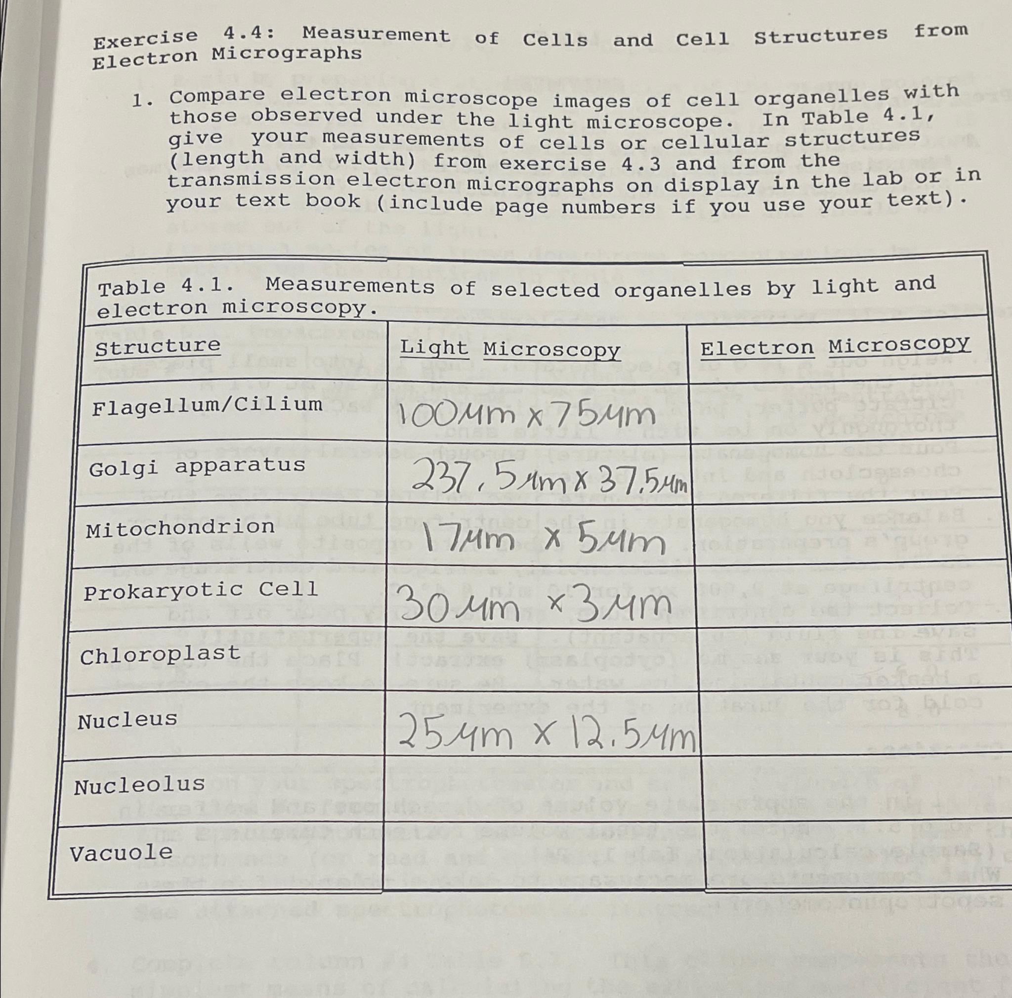 Solved Exercise 4.4: Measurement of Cells and Cell | Chegg.com