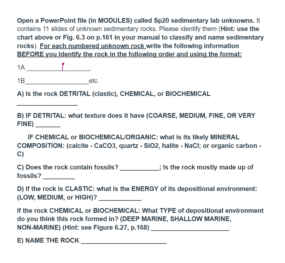 Solved Open a PowerPoint file (in MODULES) ﻿called Sp20 | Chegg.com
