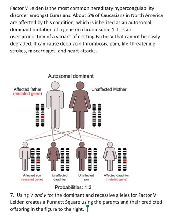 Solved Factor V Leiden is the most common hereditary | Chegg.com