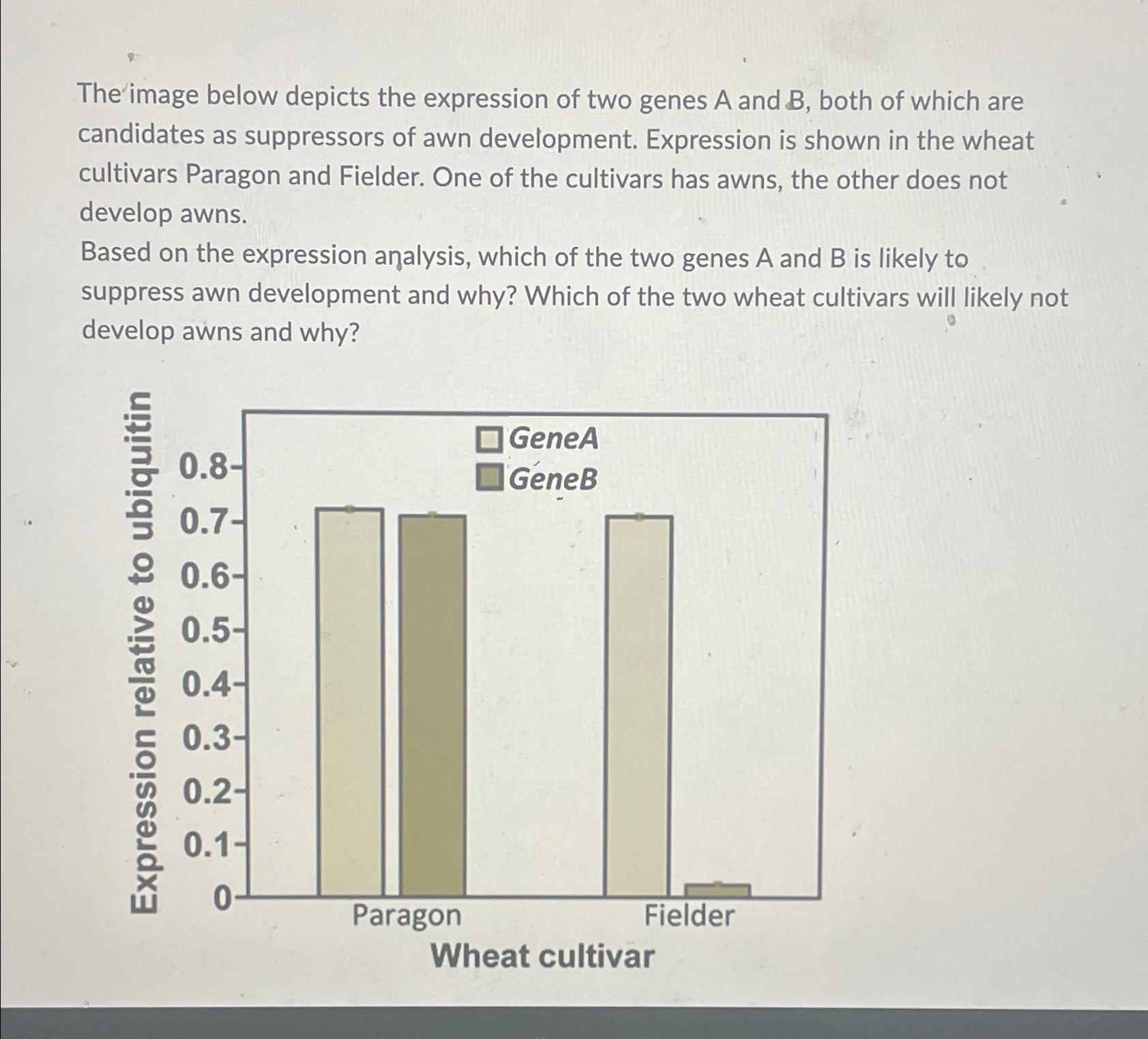 Solved The image below depicts the expression of two genes A | Chegg.com