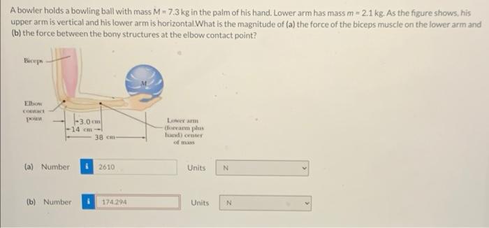 Solved A bowler holds a bowling ball with mass M = 7.3 kg in | Chegg.com