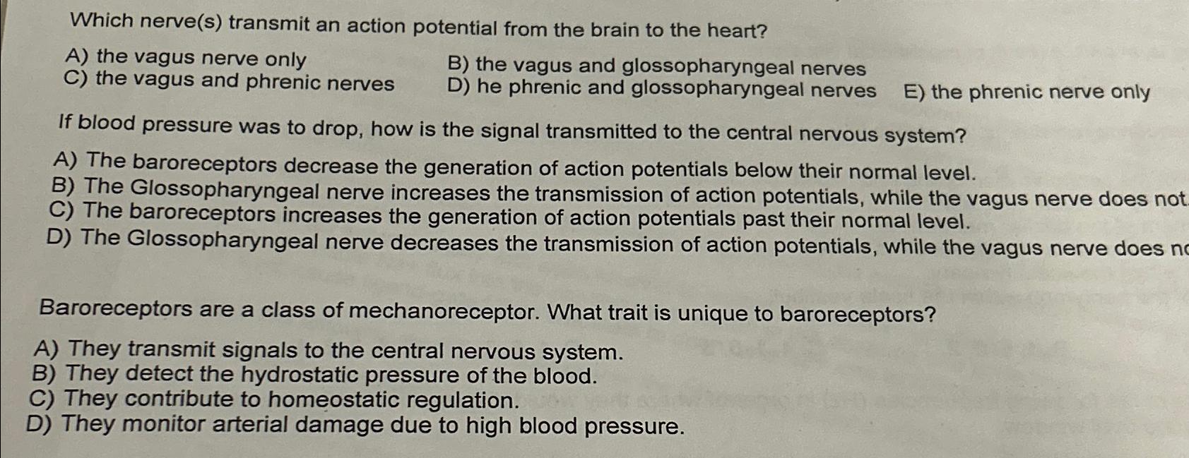 Solved Which nerve(s) ﻿transmit an action potential from the | Chegg.com