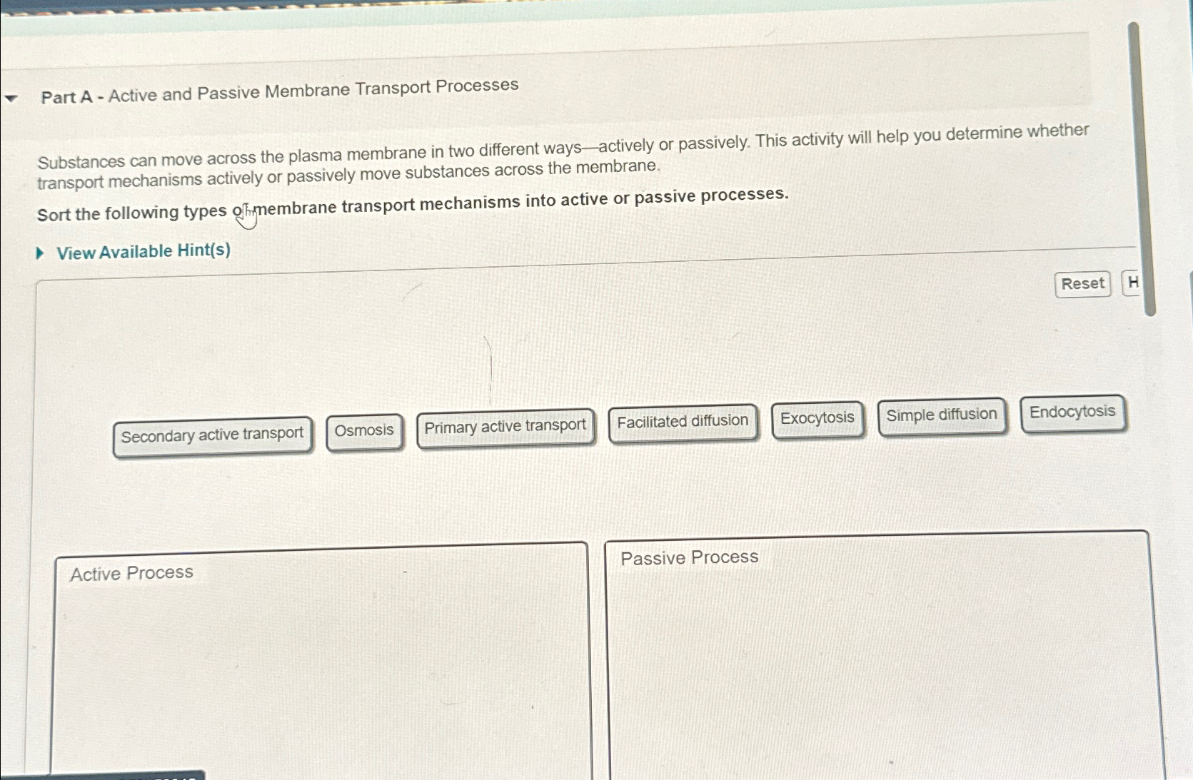 Solved Part A - ﻿Active and Passive Membrane Transport | Chegg.com