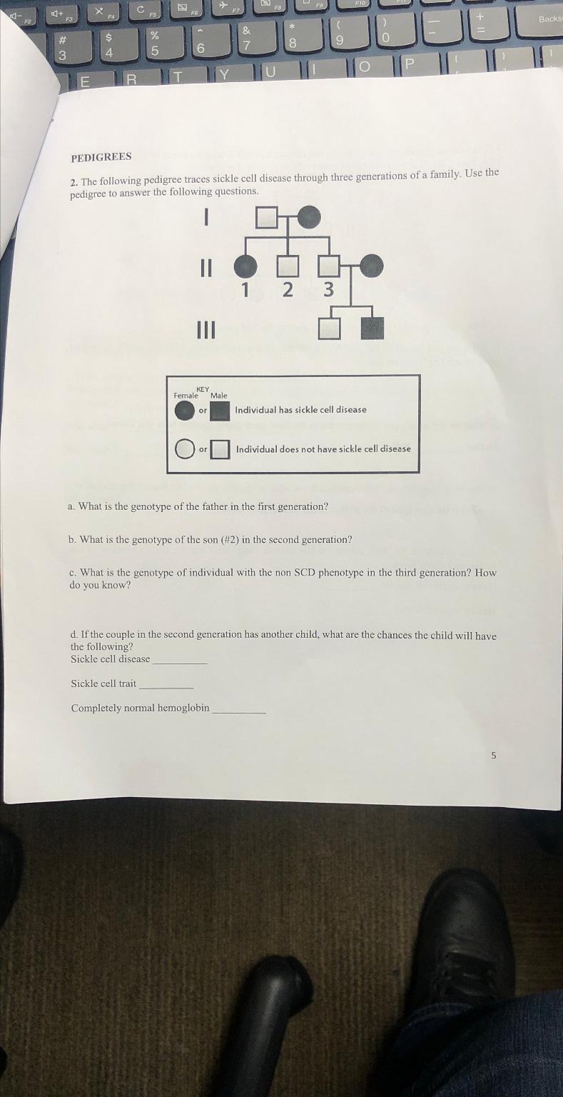 Solved PEDIGREES2. ﻿The following pedigree traces sickle | Chegg.com