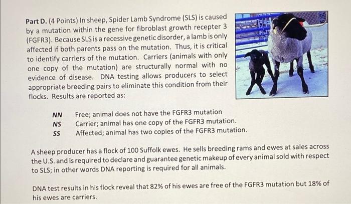 Solved Part D. (4 Points) in sheep, Spider Lamb Syndrome | Chegg.com
