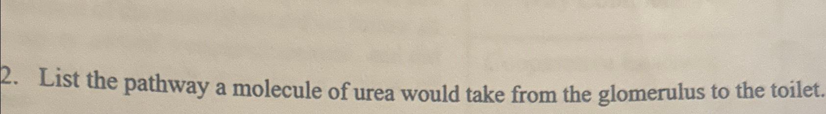 Solved List the pathway a molecule of urea would take from | Chegg.com