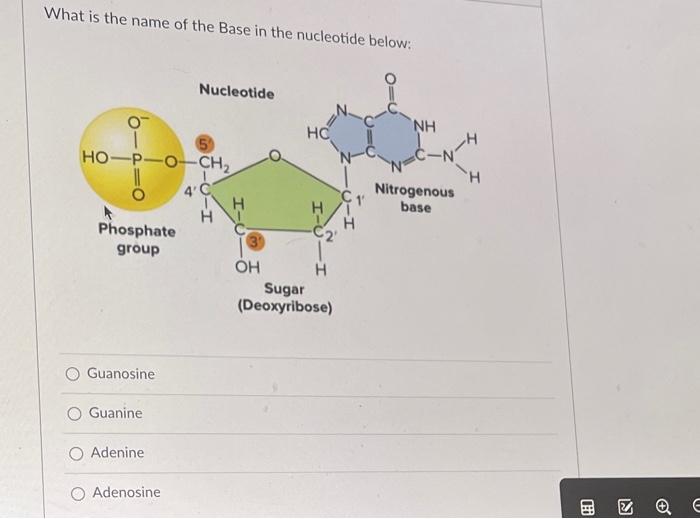 Solved What is the name of the Base in the nucleotide below: | Chegg.com