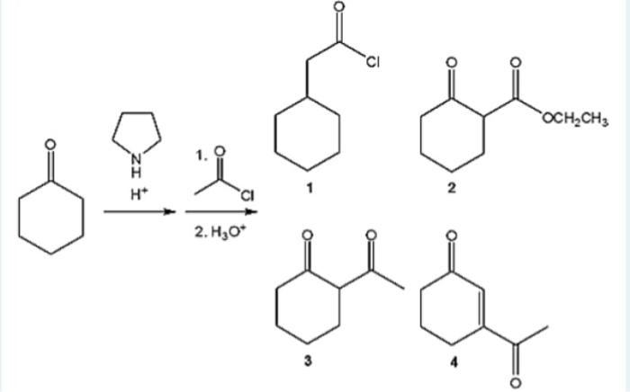 Solved OCH2CH3 ZI N H 2.H30* | Chegg.com