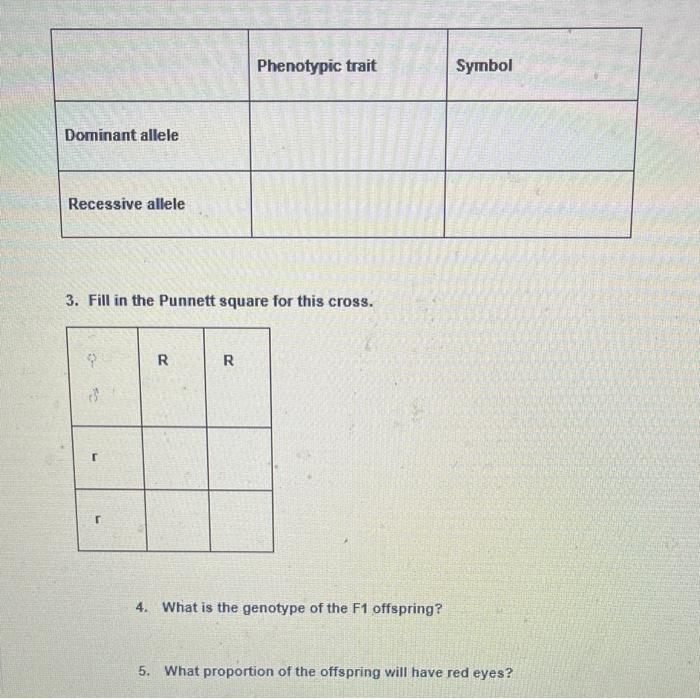 Solved Practice 2: Monohybrid Cross for Eye Color You are | Chegg.com