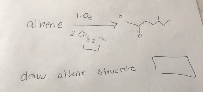 Solved 1.03 H alhene 2 Chaz si draw allene structure | Chegg.com