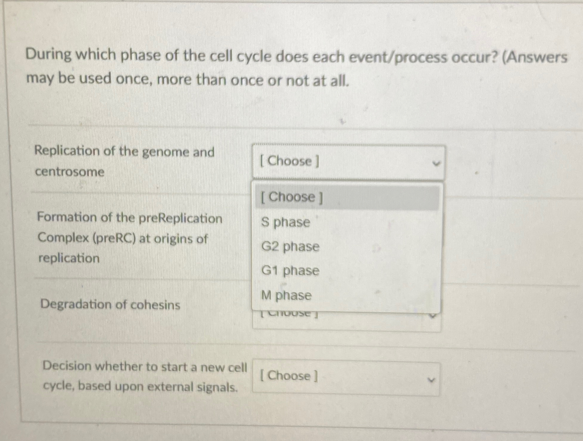 Solved During which phase of the cell cycle does each | Chegg.com