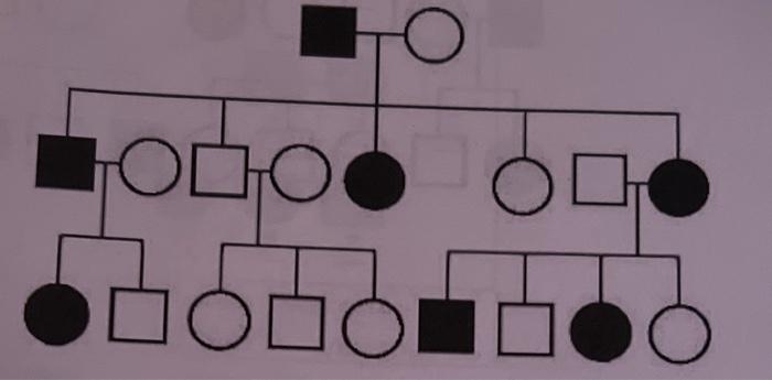 Solved evaluate whether this trait is dominant x-linked, | Chegg.com