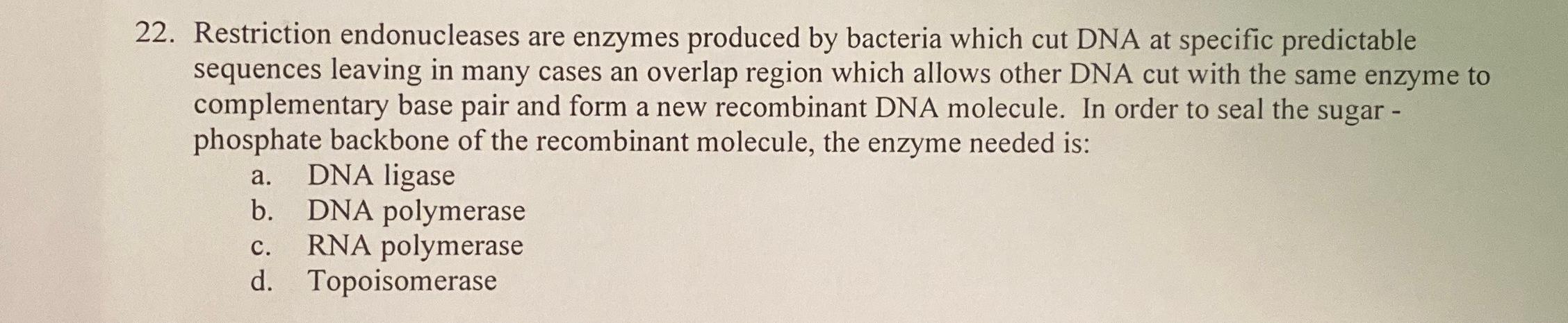 Solved Restriction endonucleases are enzymes produced by | Chegg.com