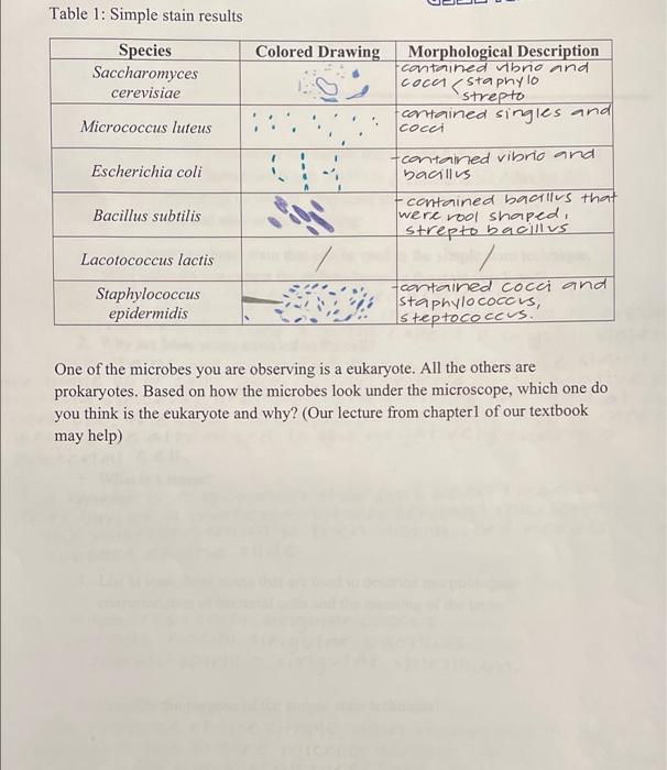 Solved Table 1: Simple stain results Colored Drawing Species | Chegg.com