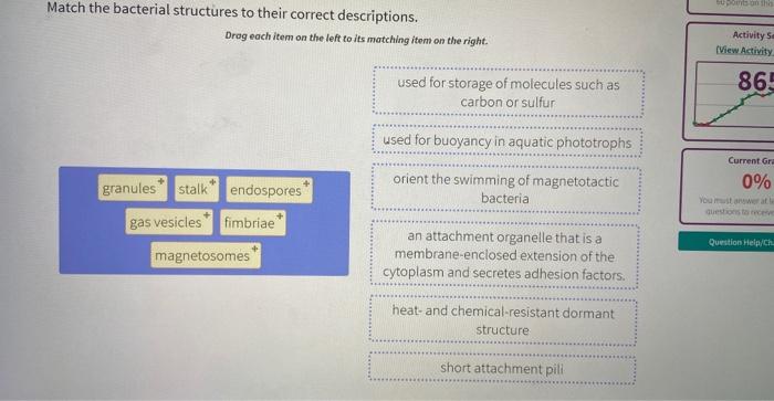 Solved Match the bacterial structures to their correct | Chegg.com