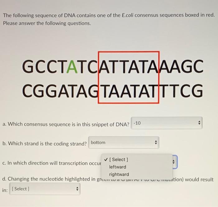 Solved The following sequence of DNA contains one of the | Chegg.com