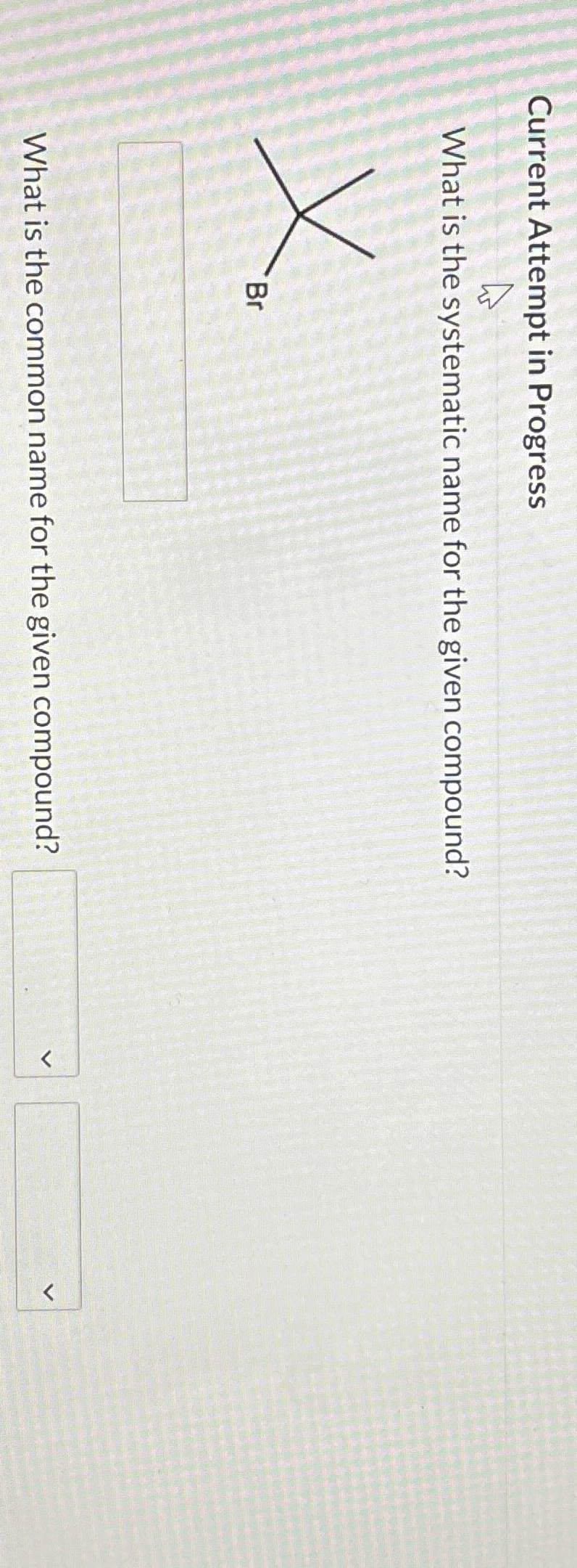 Solved Current Attempt in ProgressWhat is the systematic | Chegg.com
