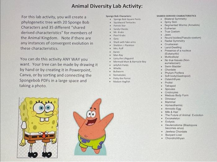 Solved Animal Diversity Lab Activity: | Chegg.com