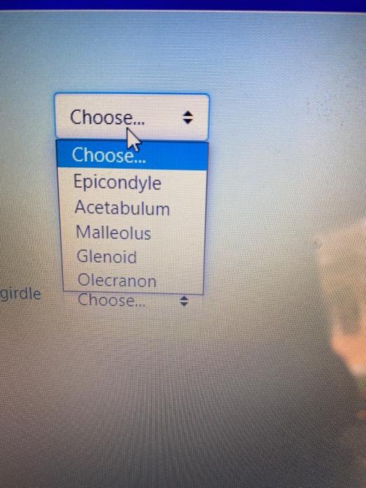 Solved Match the following skeletal landmarks with their | Chegg.com