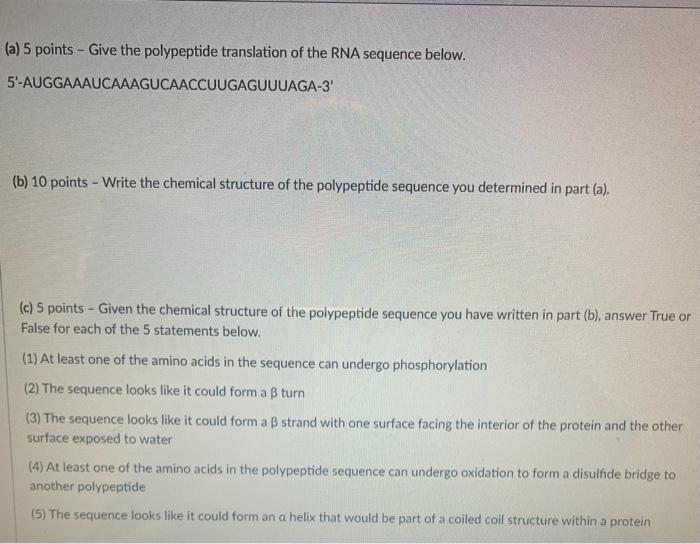 Solved (a) 5 points - Give the polypeptide translation of | Chegg.com