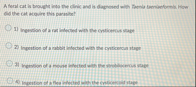 Solved A feral cat is brought into the clinic and is | Chegg.com