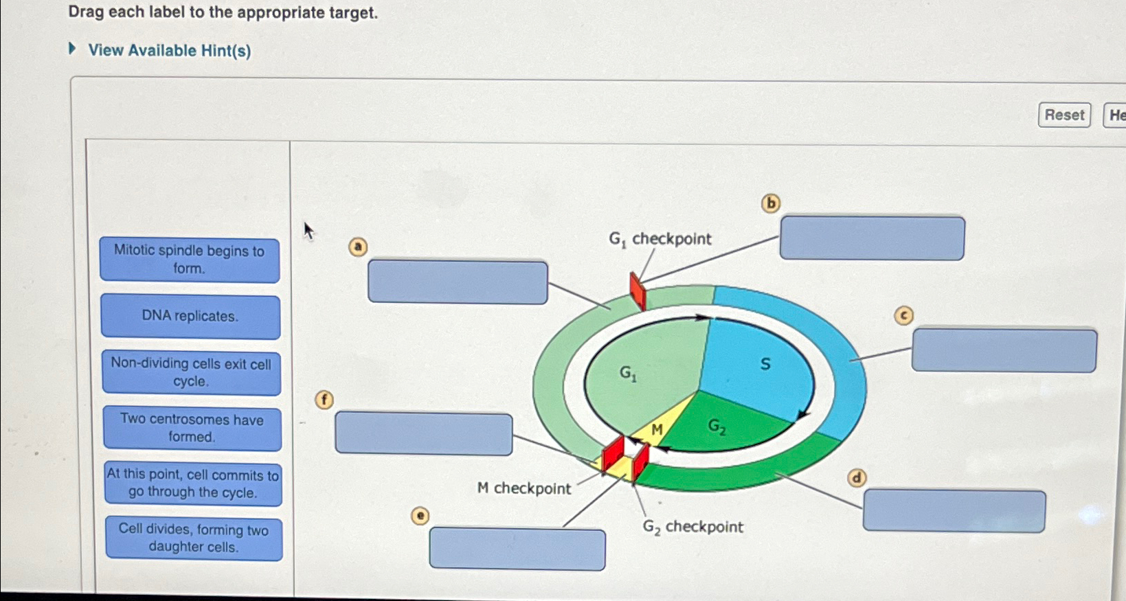 Solved Drag each label to the appropriate target.View | Chegg.com