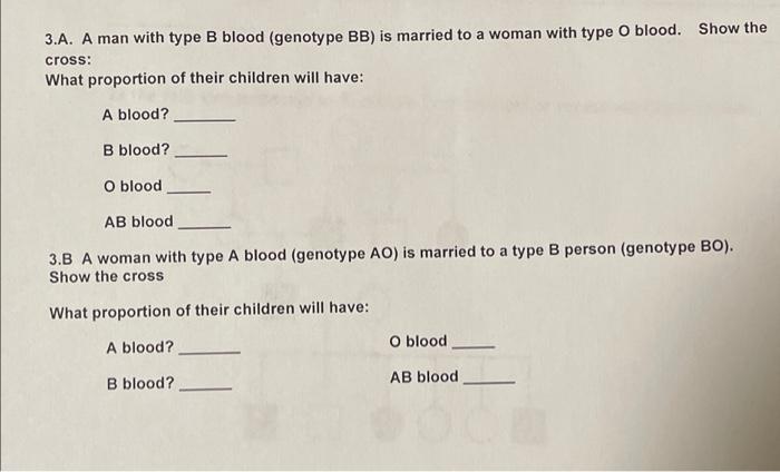 Solved 3.A. A man with type B blood (genotype BB) is married | Chegg.com