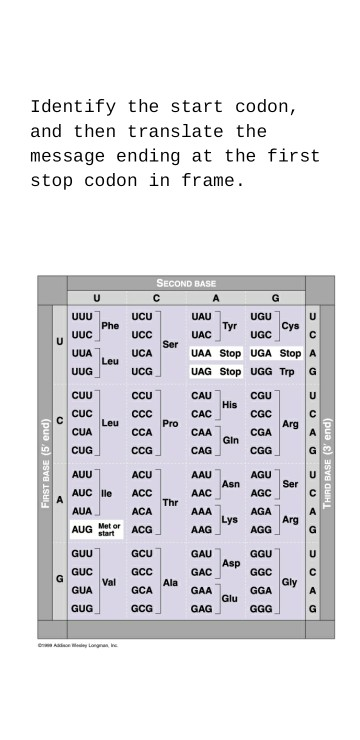 Solved Identify the start codon, and then translate the | Chegg.com