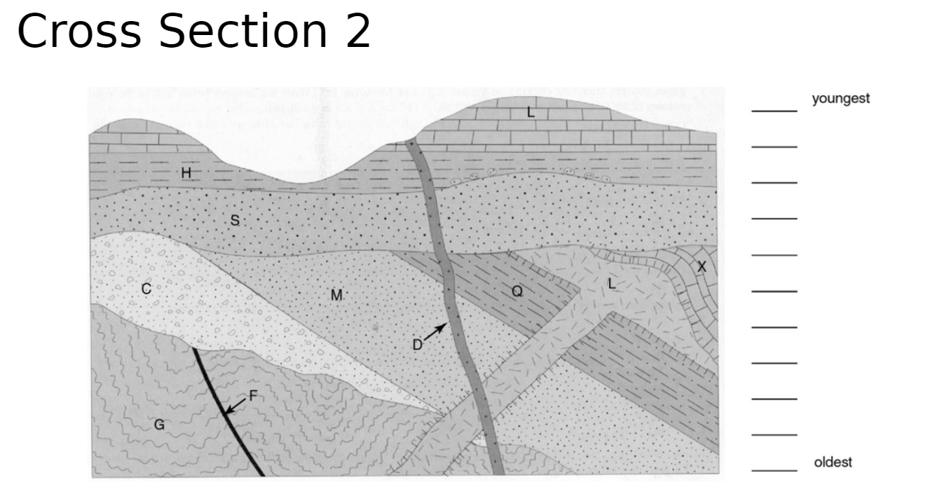 Solved Put cross section 2 ﻿in order, from youngest to | Chegg.com