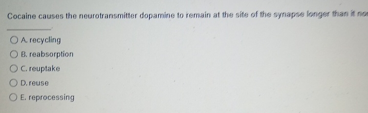 Solved Cocaine causes the neurotransmitter dopamine to | Chegg.com