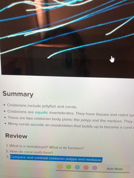 Solved Summary • Cnidarians include jellyfish and corals. • | Chegg.com