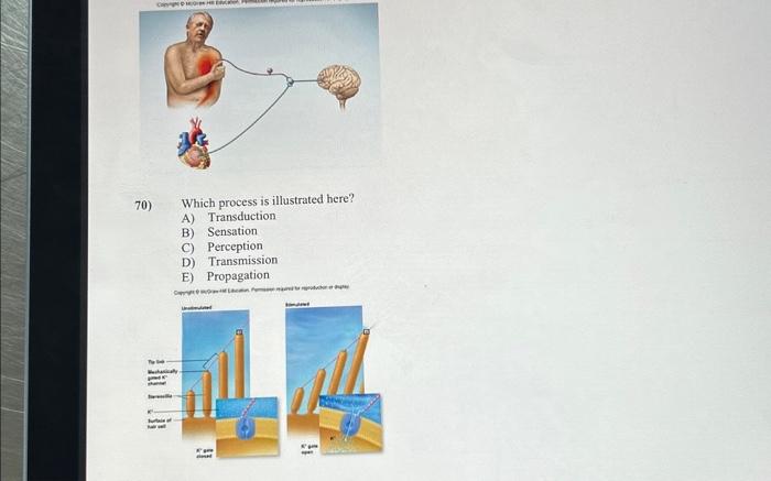 Solved 70) Which process is illustrated here? A) | Chegg.com