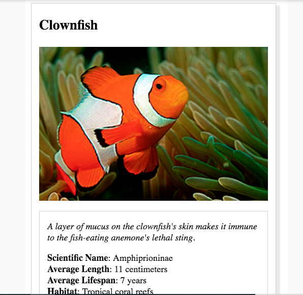 Solved ClownfishA layer of mucus on the clownfish's skin | Chegg.com