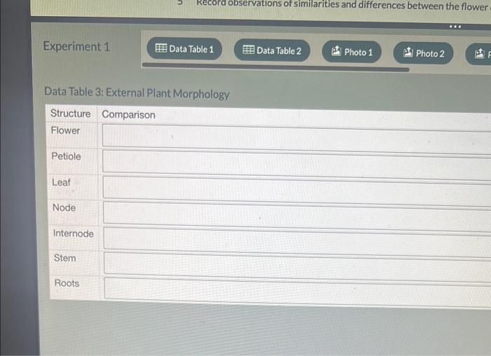 Solved record observations of similarities and differences | Chegg.com