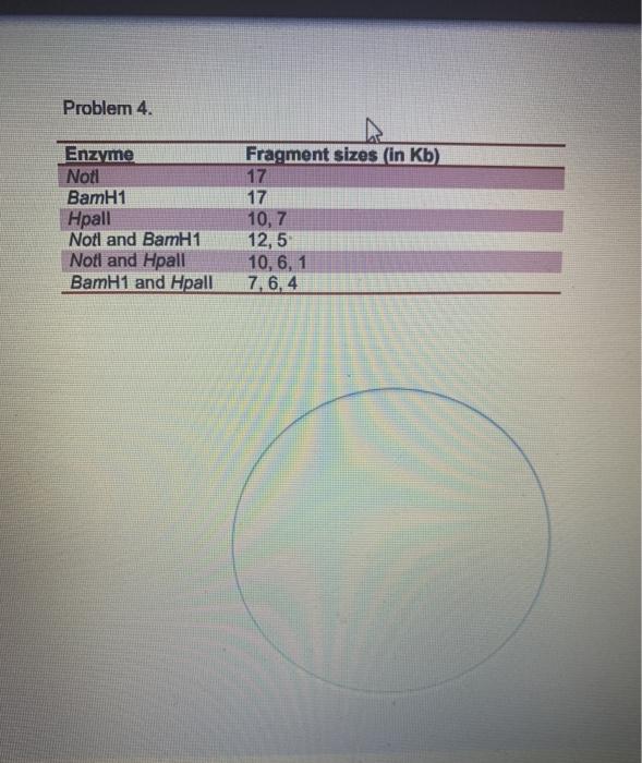 Solved 82. Problem 3. Enzyme Hindlll Sacl Xbal Hindill and | Chegg.com