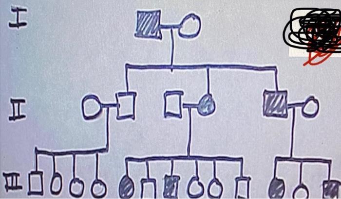 Solved Below are three pedigrees. For each pedigree, | Chegg.com Solved Below are three pedigrees. For each pedigree, | Chegg.com