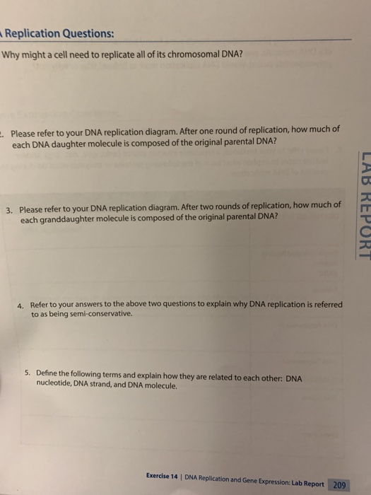 Solved Replication Questions: Why might a cell need to | Chegg.com