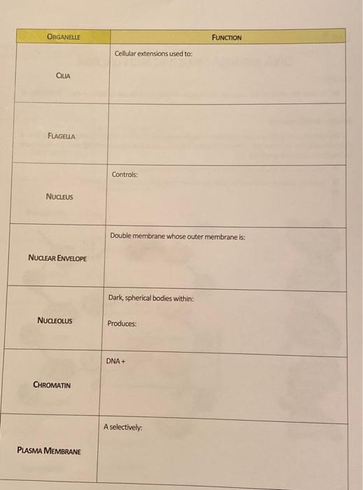 Solved LAB 4 THE CELL PARTA-THE STRUCTURE OF THE PLASMA | Chegg.com