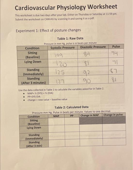 Solved Cardiovascular Physiology Worksheet This worksheet is | Chegg.com