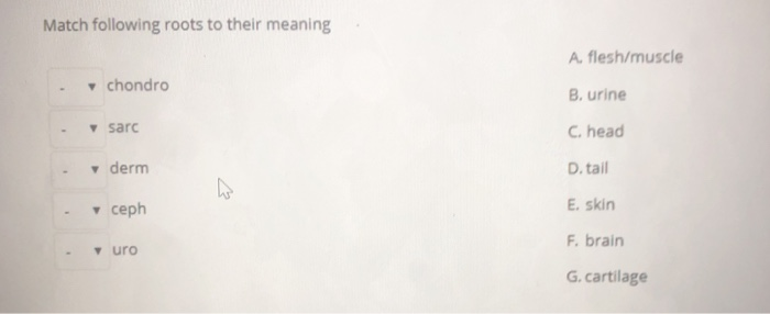 Solved Match following roots to their meaning A flesh/muscle | Chegg.com