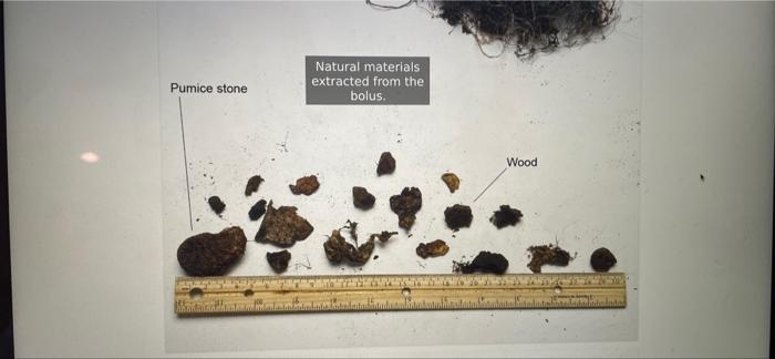 Solved View the photos to gather information regarding the | Chegg.com