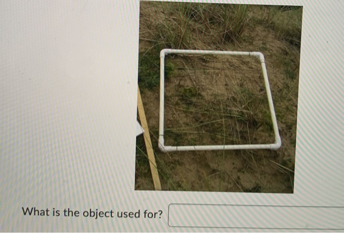 Solved can you be so kind and identify this object, I've | Chegg.com