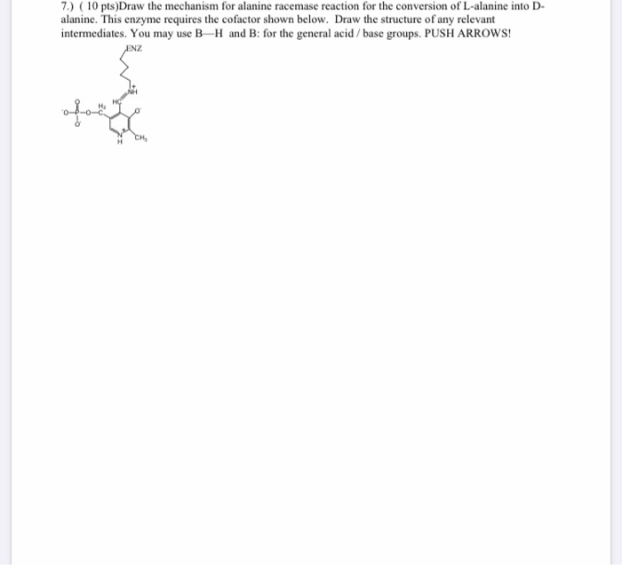 Solved 7.) (10 pts)Draw the mechanism for alanine racemase | Chegg.com