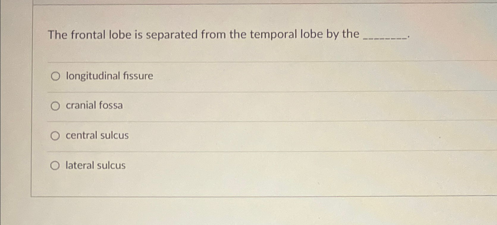 Solved The frontal lobe is separated from the temporal lobe | Chegg.com