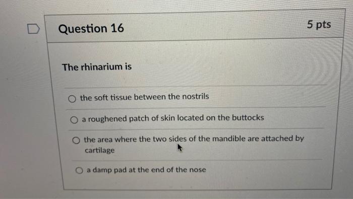 Solved Question 16 5 pts The rhinarium is the soft tissue | Chegg.com